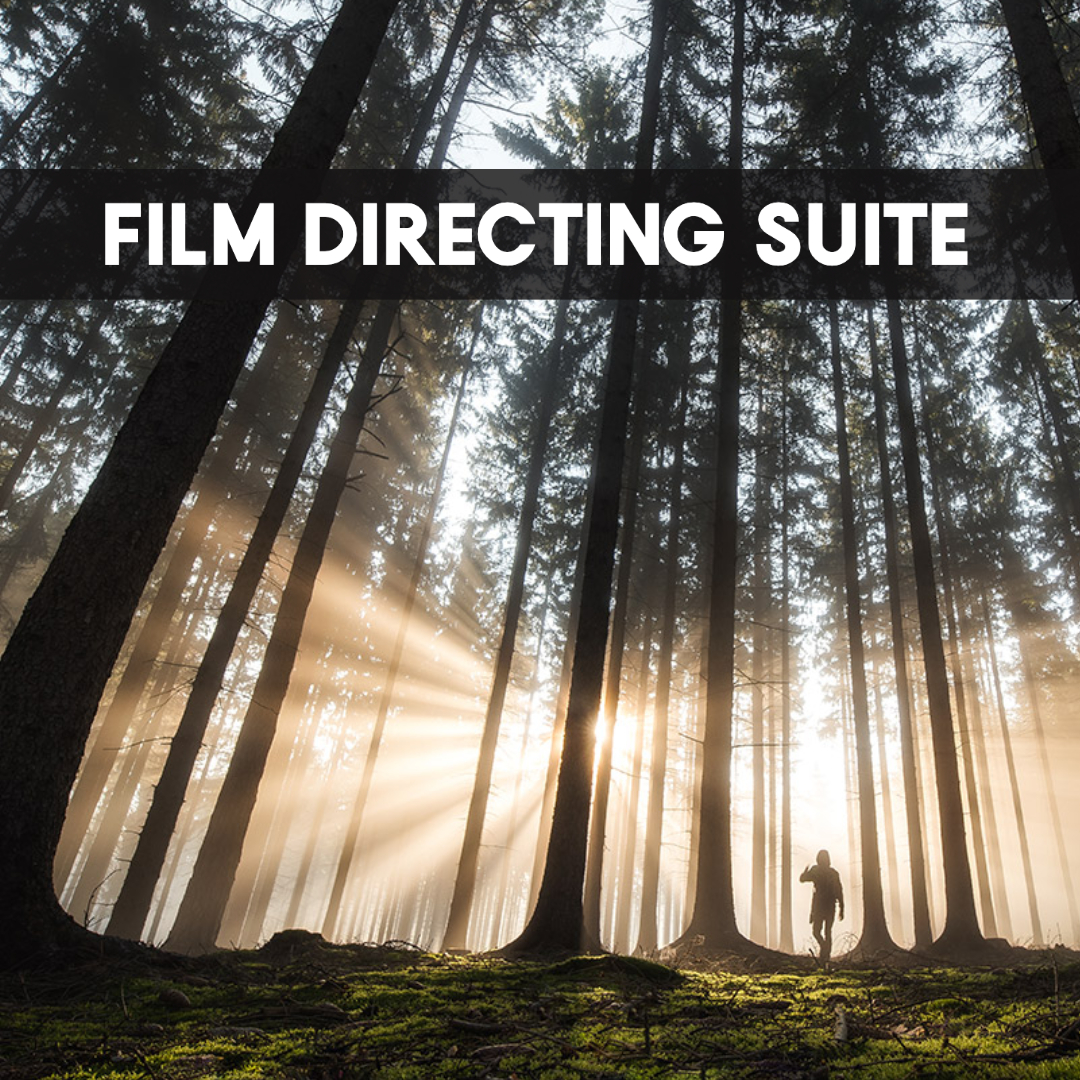 THE FILM DIRECTING SUITE - The Independent Film School